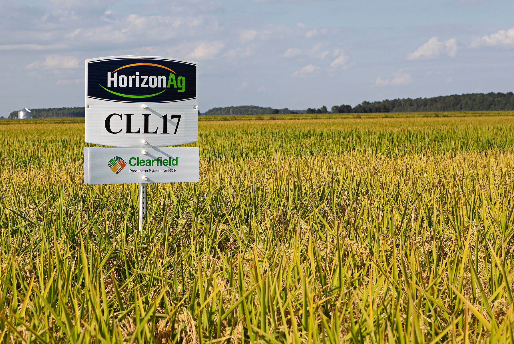 New Article | Horizon Ag